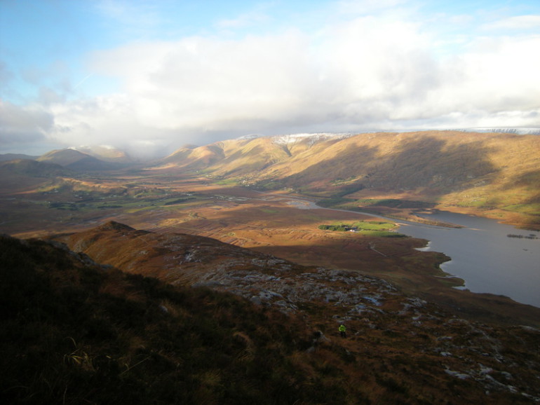 Gabhair fhiáine Chonamara sábháilte ag achainí 2,400 duine ar líne ...