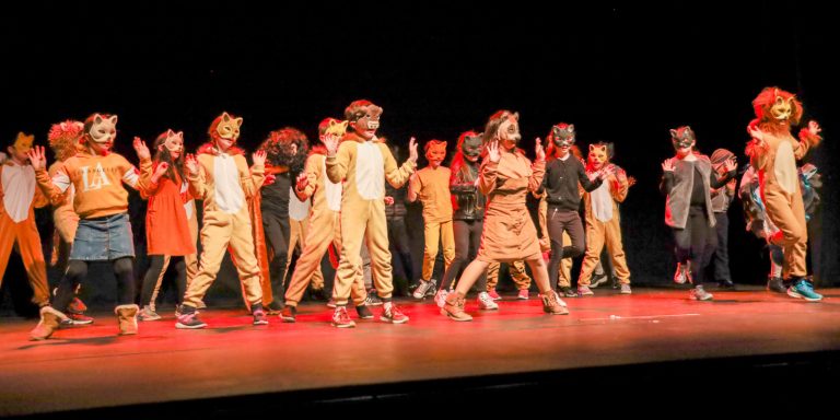 GAILEARAÍ: Damhsa, ceol agus aisteoireacht den scoth ó dhaltaí ...