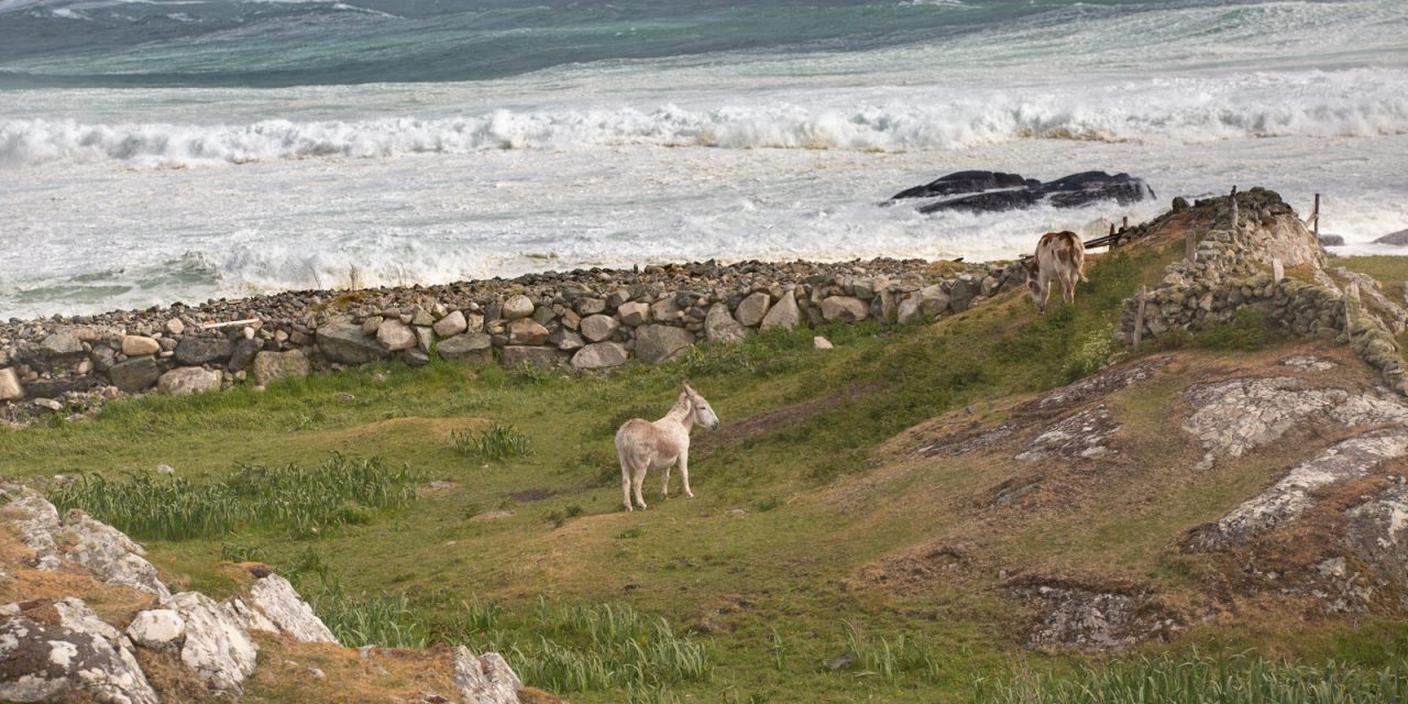 GAILEARAÍ: Farraige cháite ag Tower Cheann Gólaim i gConamara – Tuairisc.ie