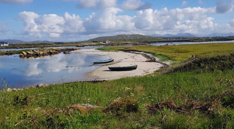 Straitéis timpeallachta nua á beartú a bhféadfadh tionchar mór a bheith ...
