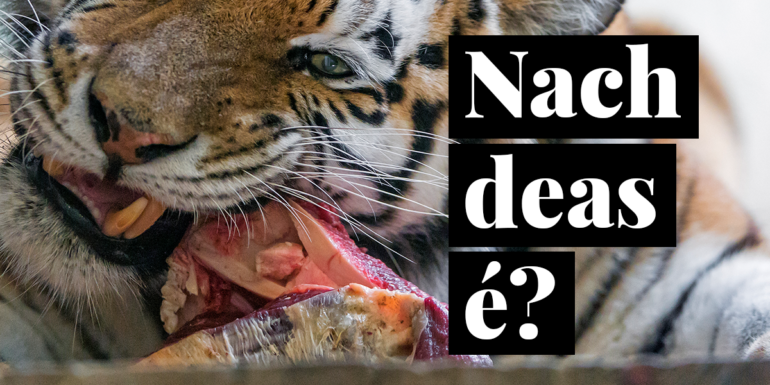 NACH DEAS É?: D’ith siad an fheoil anuas díom… – Tuairisc.ie