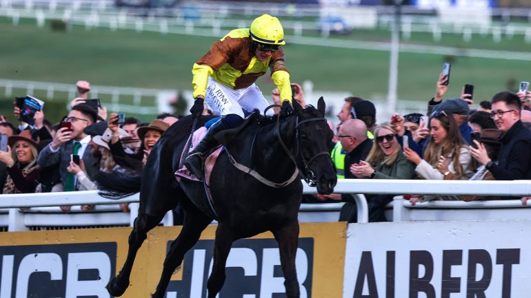 Capaill de chuid na tíre seo is mó atá ag barr an oird fhiúntais ...