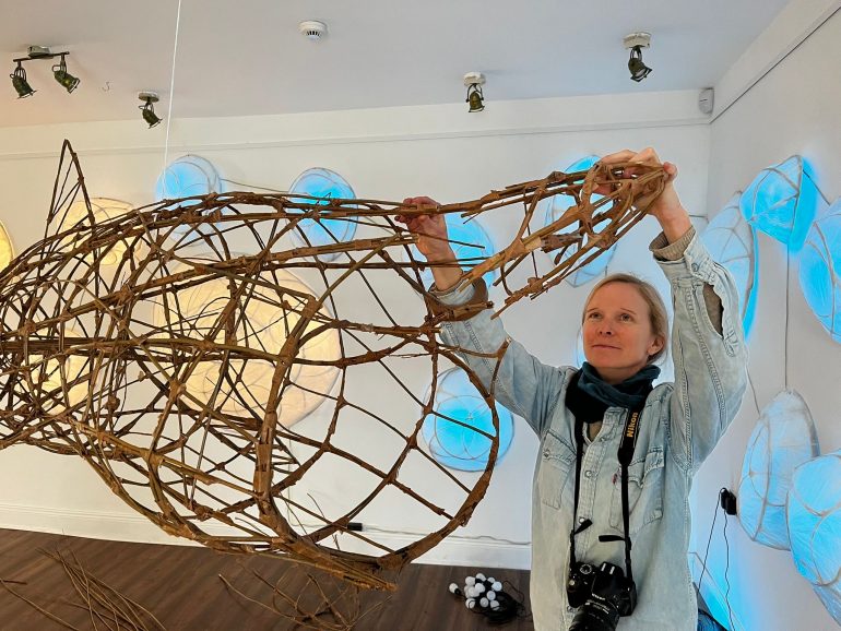 GNÉ-ALT FÓGRAÍOCHTA: Basking – The Nursery (‘Liamhán Gréine – an ...