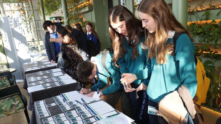 GAILEARAÍ: Misneach agus dúthracht na scoláirí i leith na Gaeilge molta ...